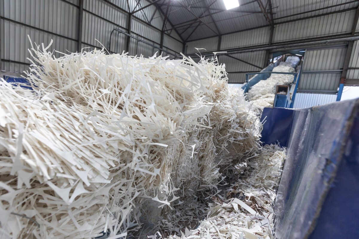 Capabilities - Paper and Packaging