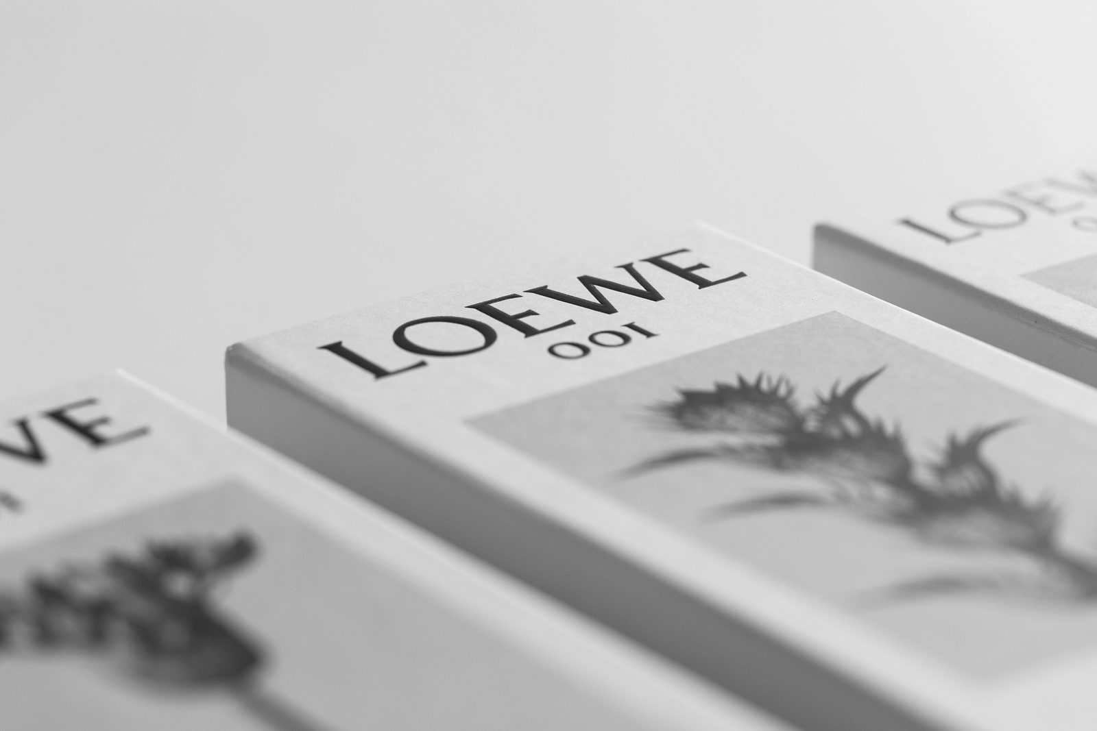 The Loewe Story - Paper and Packaging