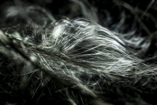 James Cropper Accelerates Plans for Sustainable Growth - Paper and ...