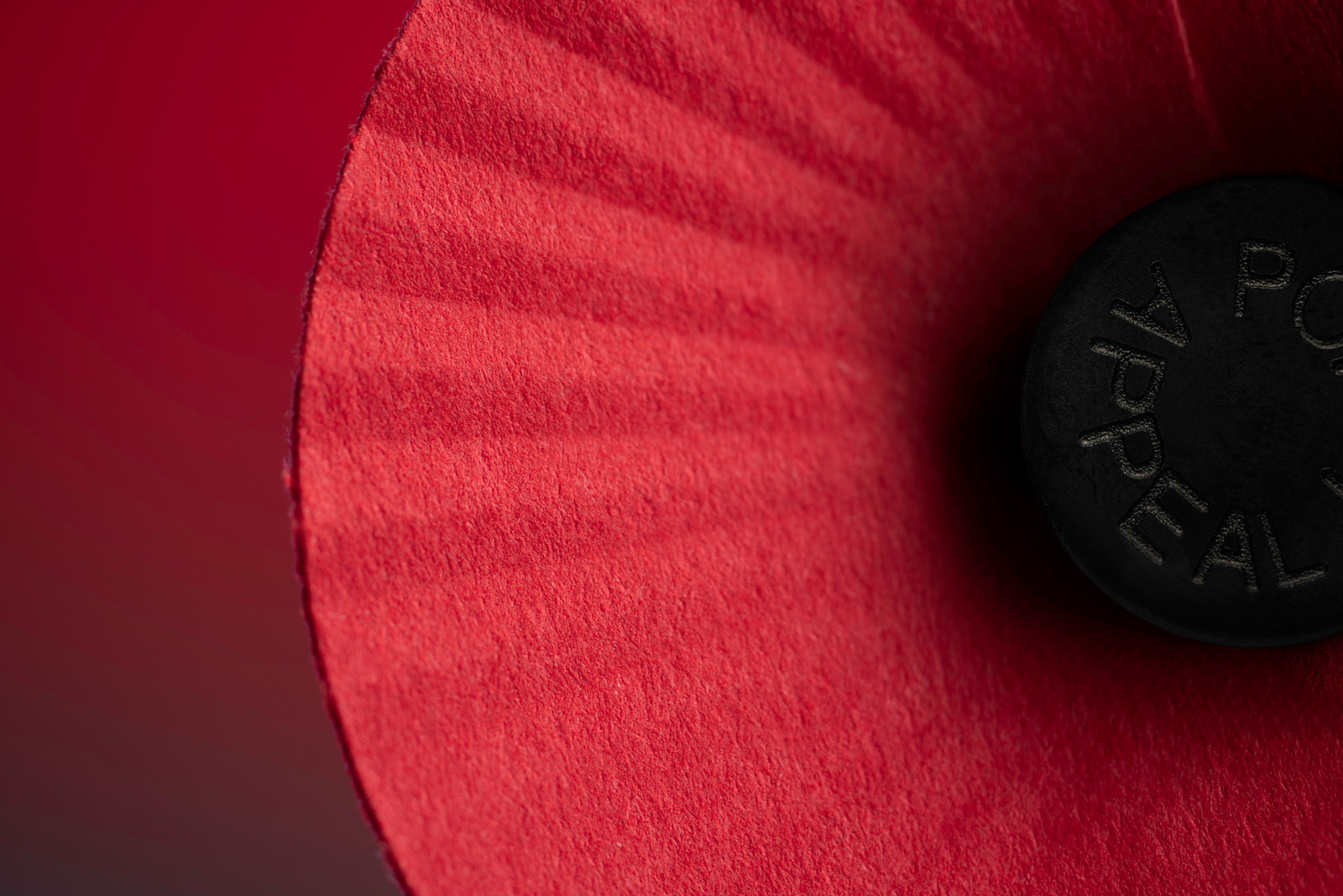 The Poppy Story - WW1 Centenary Red Flower of Remembrance - Paper and ...
