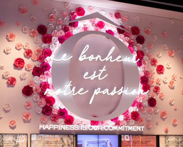 Vanguard - Paper and Packaging